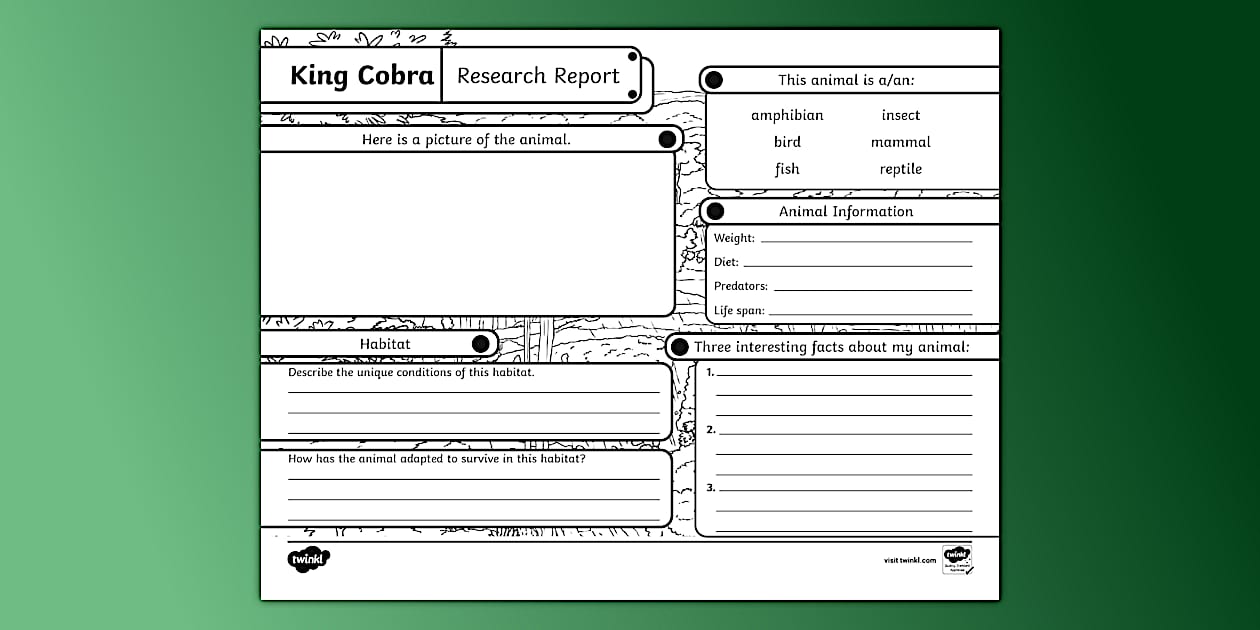 King Cobra Research Report for 3rd-5th Grade (teacher made)