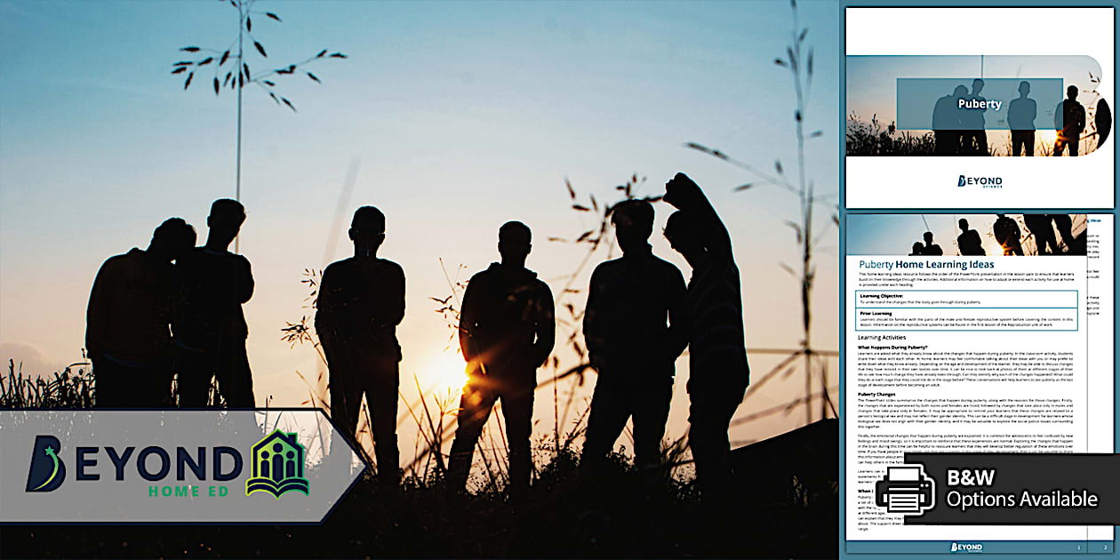 GCSE Reproduction: Puberty | Biology Home Learning | Beyond