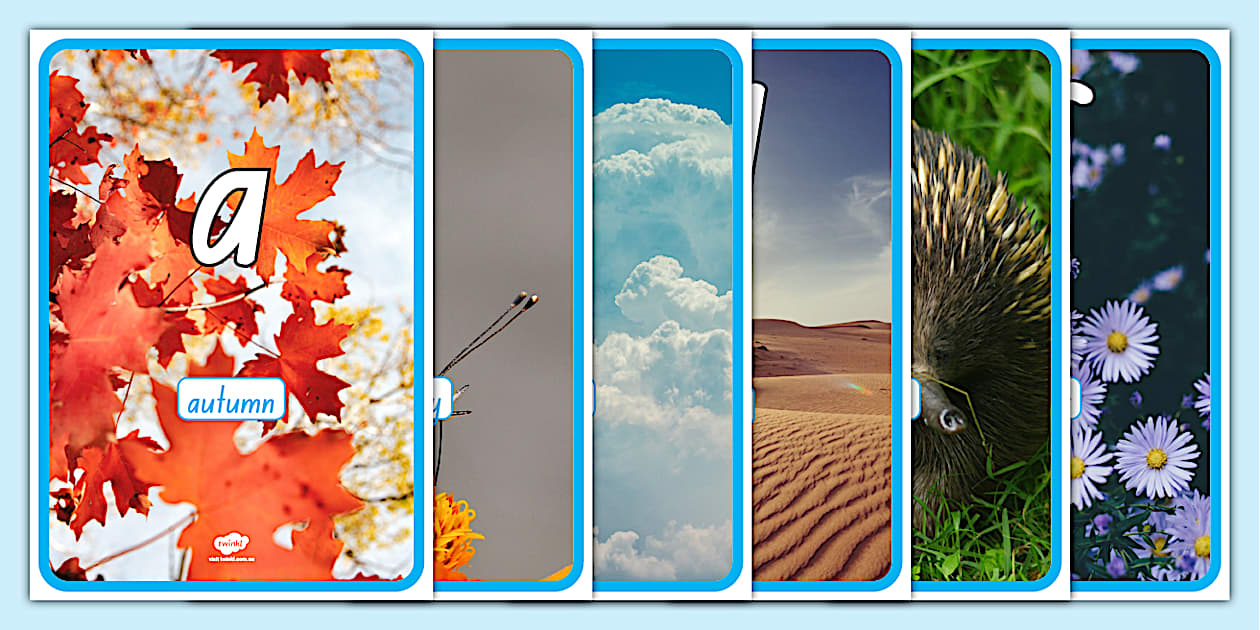 Nature-Themed Alphabet Display Posters Handwriting Fonts