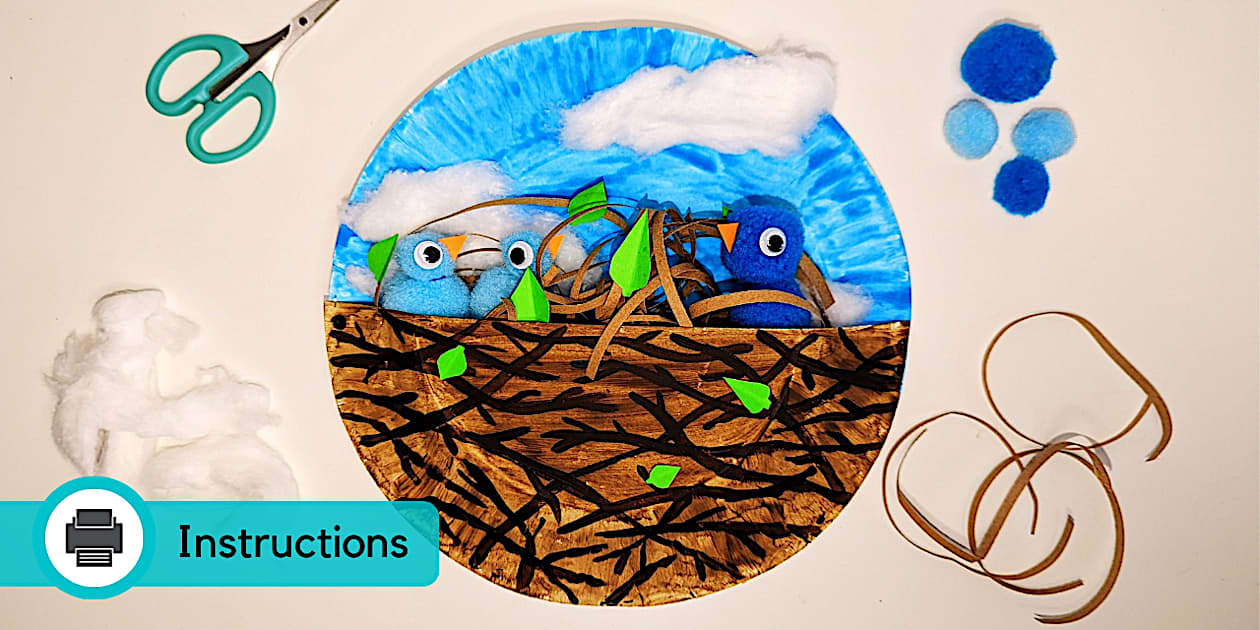 Paper Plate Bird Craft | Paper Plate Craft Activity - Twinkl