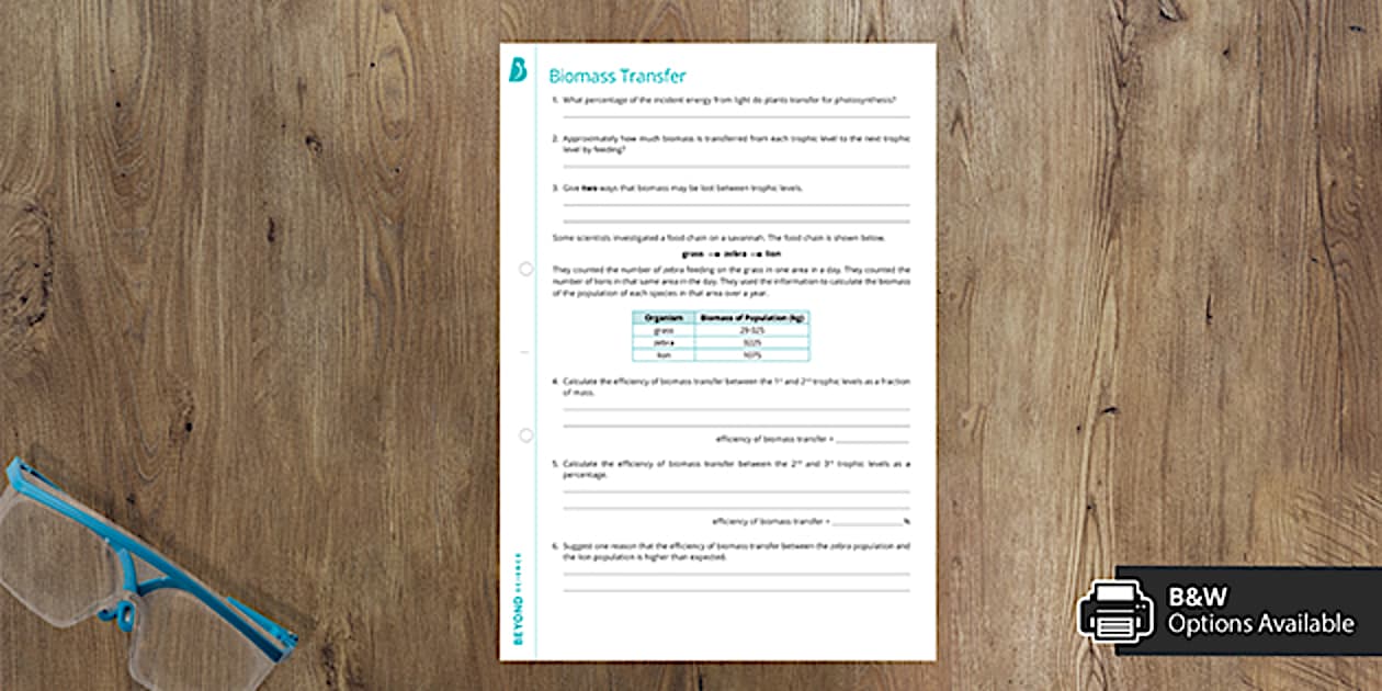 Biomass Transfer Worksheet | GCSE Ecology | Beyond - Twinkl