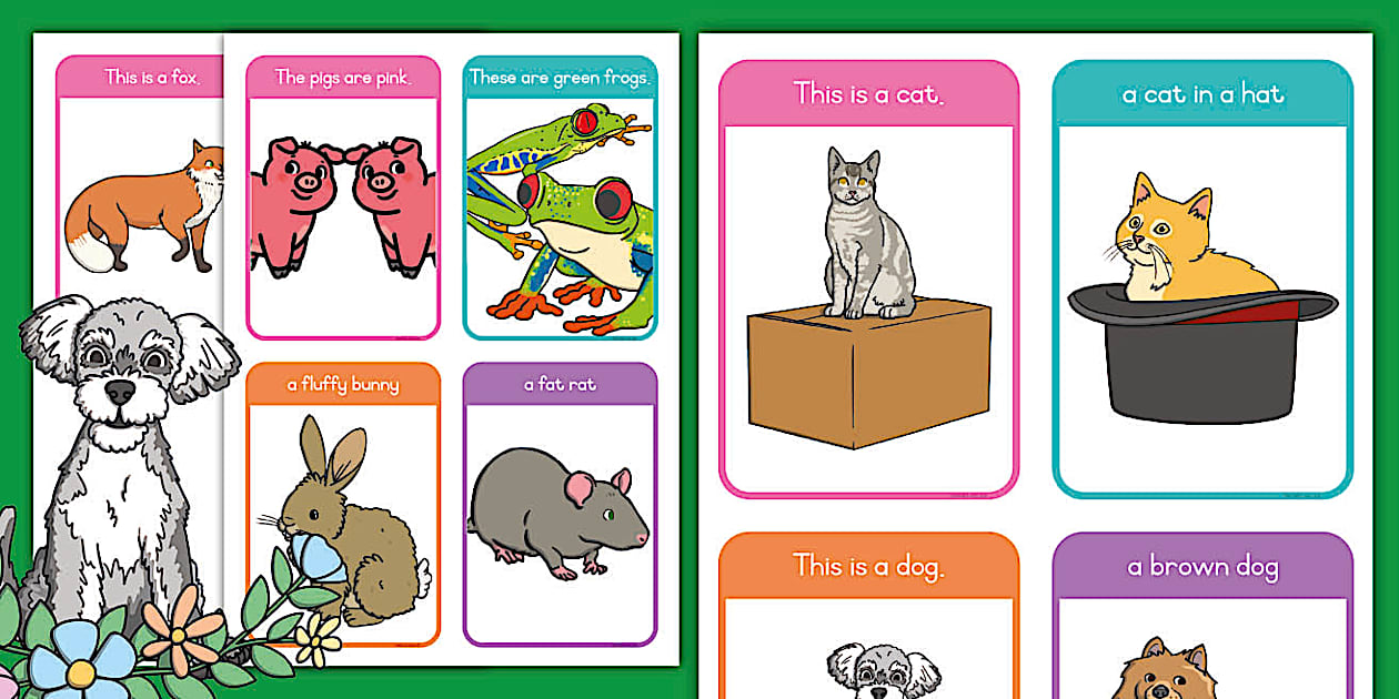Grade R English - Basic Phrases - Flashcards: Animals