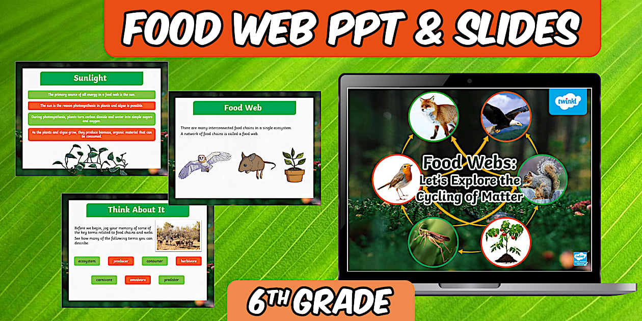 Sixth Grade Food Webs PowerPoint & Google Slides