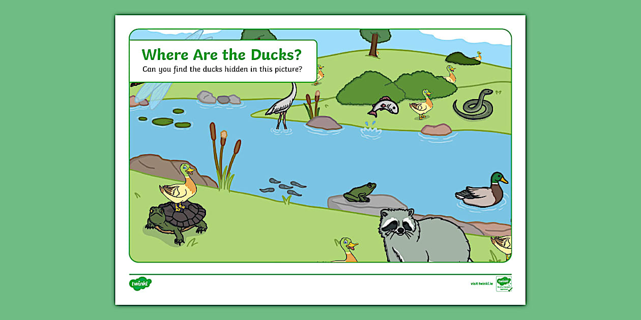 Where's the Duck? I Spy Activity (Teacher-Made) - Twinkl