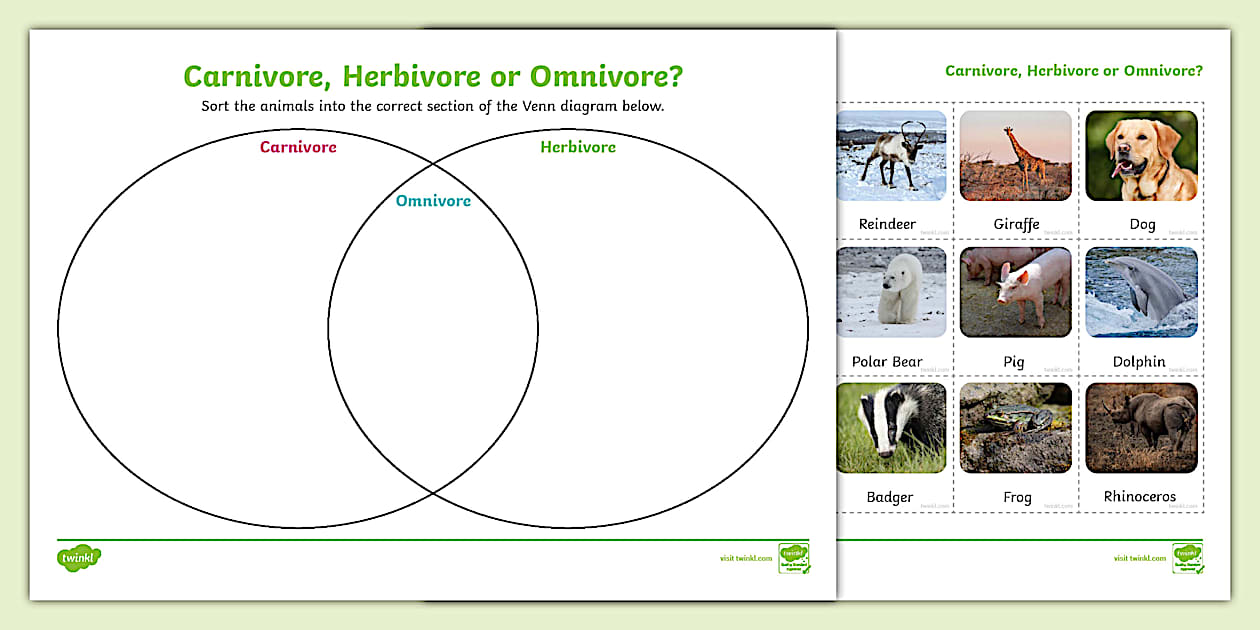 Carnivores, Herbivores and Omnivores KS1 Worksheet - Twinkl