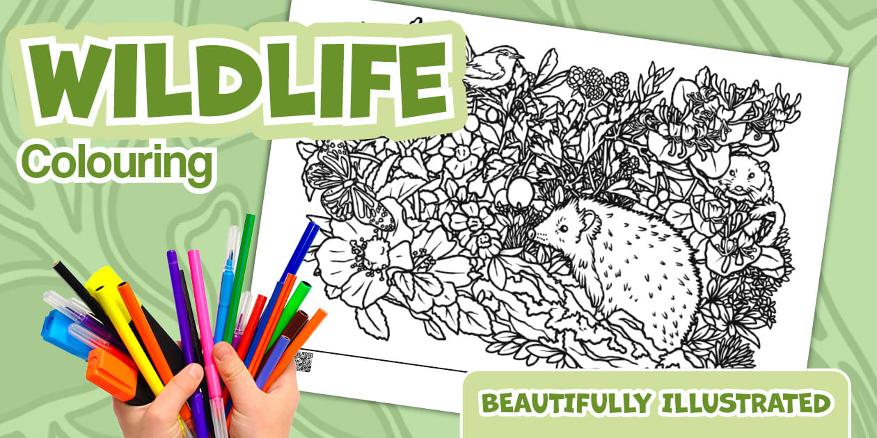 Wildlife Colouring Sheet