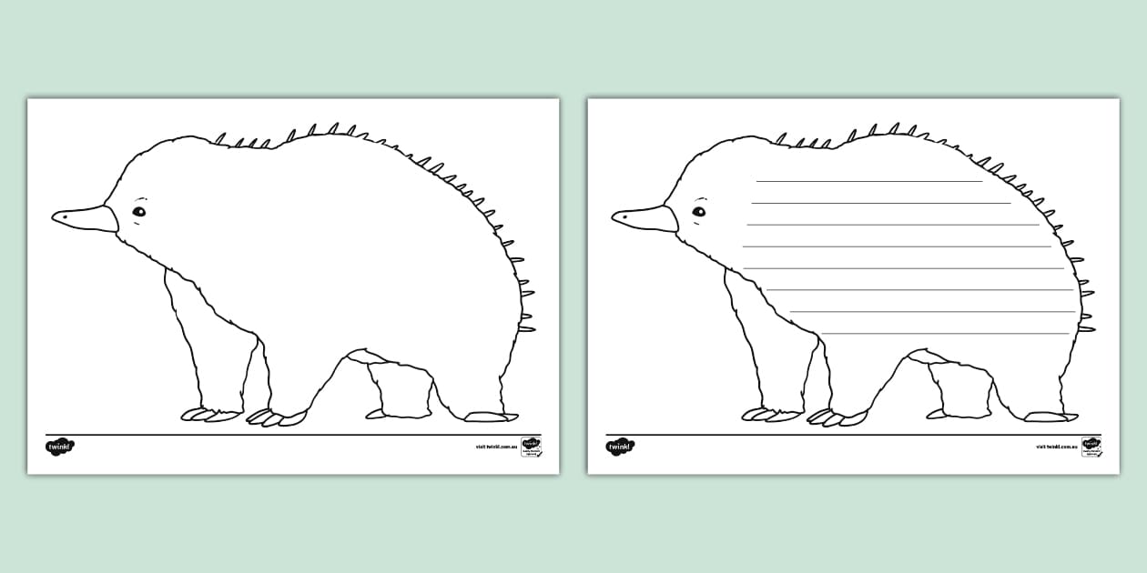 * NEW * Echidna Writing Template - Twinkl