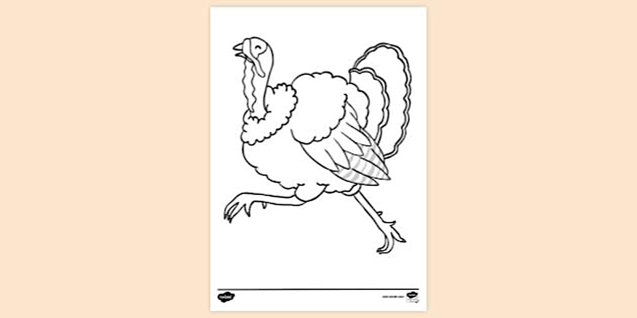 Printable Turkey Colouring Page | Colouring Sheets - Twinkl