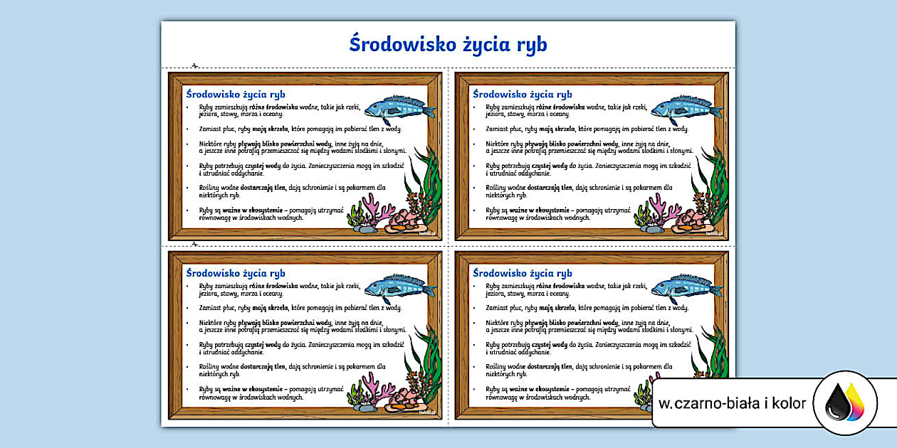 Środowisko życia ryb | Wklejki | Karty z faktami - Twinkl