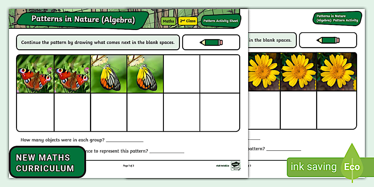 Patterns in Nature (Algebra) Activity (Teacher-Made)