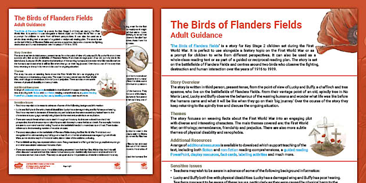'The Birds of Flanders Fields' Adult Guidance | Twinkl Originals