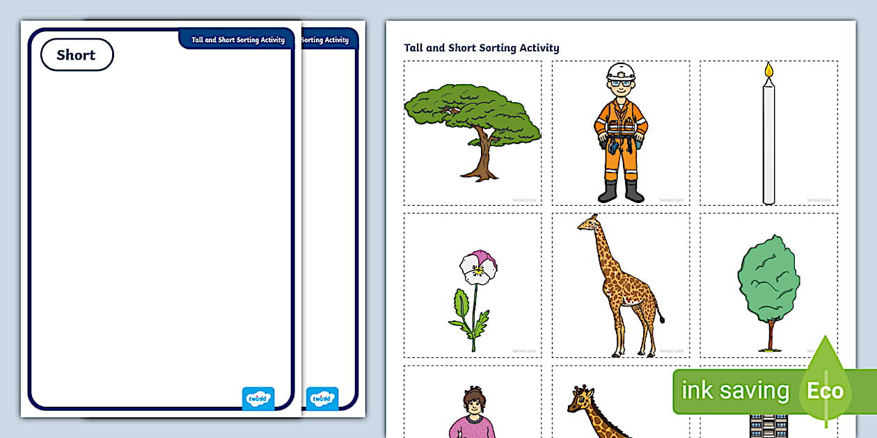 Tall And Short Sorting Activity | Twinkl Ireland - Twinkl