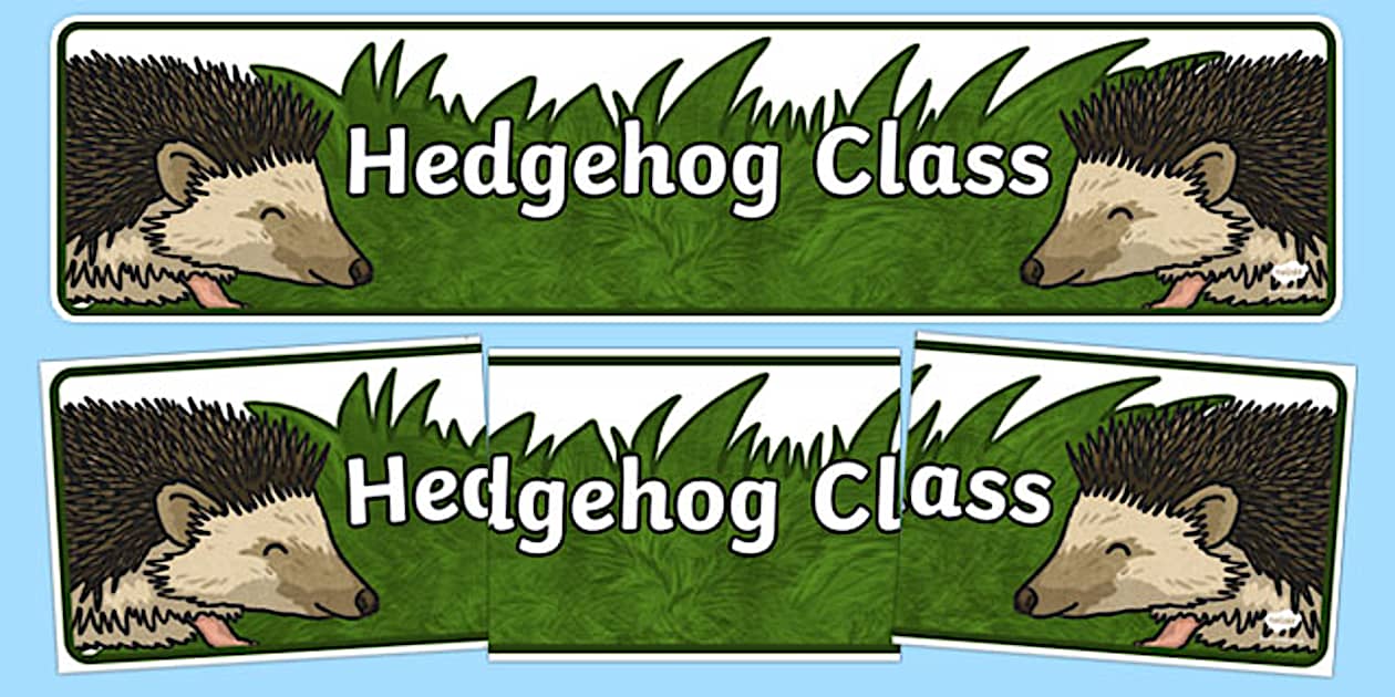 Editable Hedgehog Themed Classroom Display Banner - Twinkl
