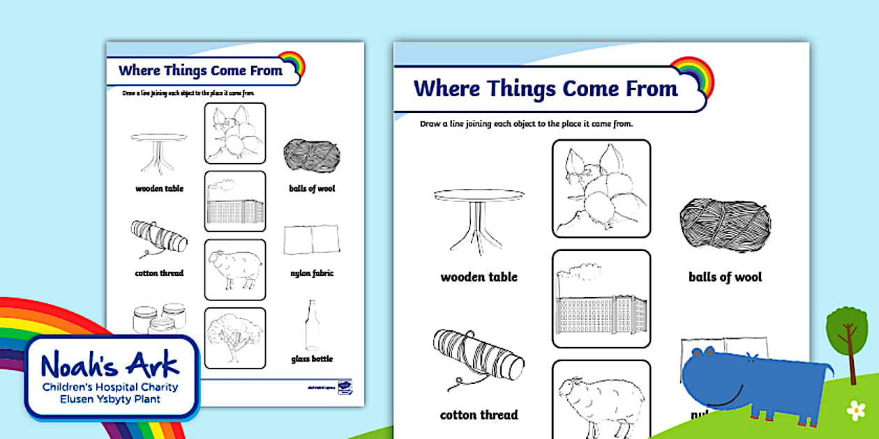 FREE! - Where Things Come From Activity Sheet - Twinkl