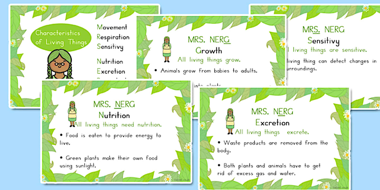 Mrs Nerg Life Processes Characteristics of Living Things Flash Cards