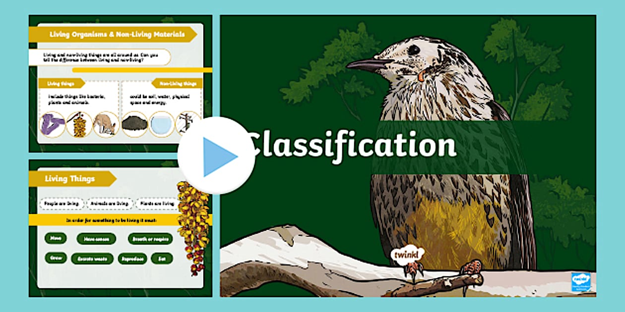 Classification Keys PowerPoint Differentiated Lesson Teaching Pack Teaching