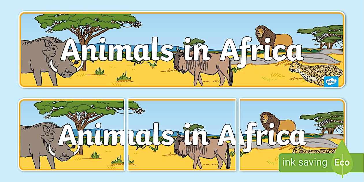Animals in Africa Display Banner Junior/Senior Infants