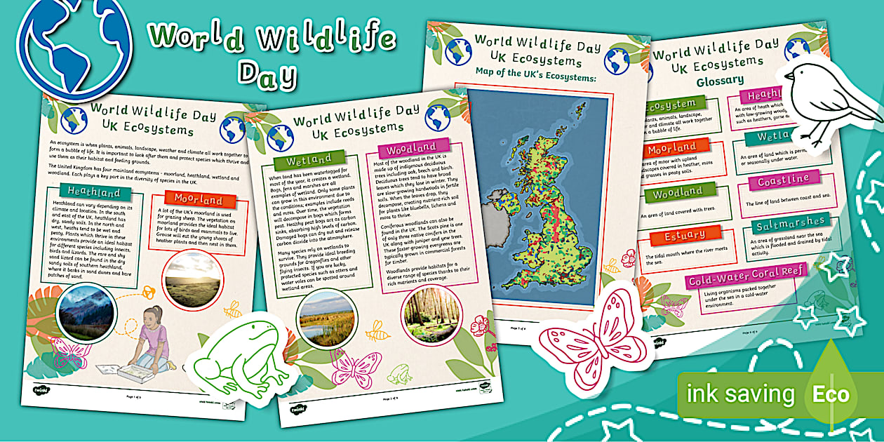 UK Ecosystems (Teacher-Made) - Twinkl