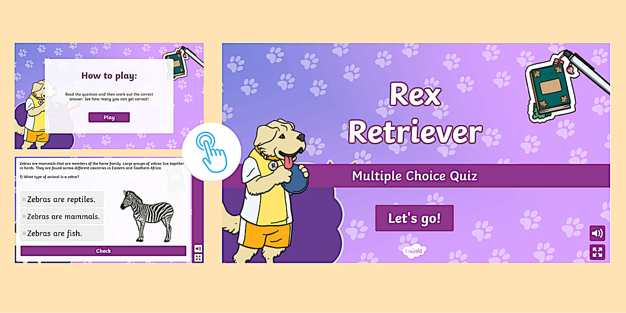 Rex Retriever KS1 English Comprehension Multiple Choice Quiz