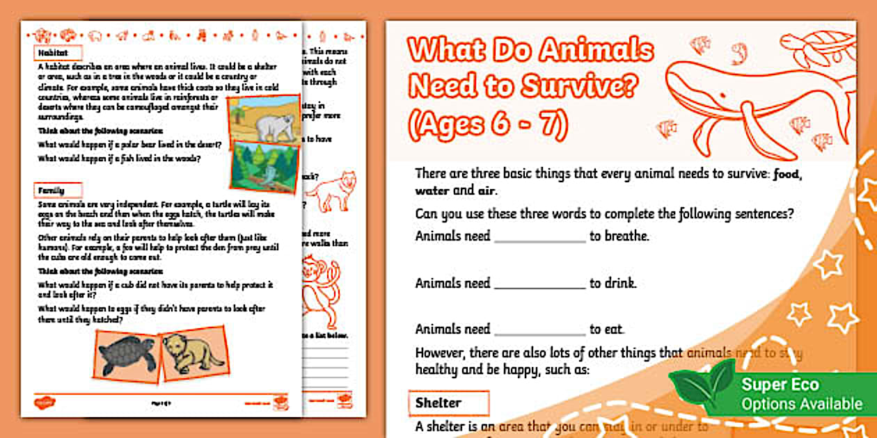 What Animals Need to Survive (Ages 6 - 7) (teacher made)