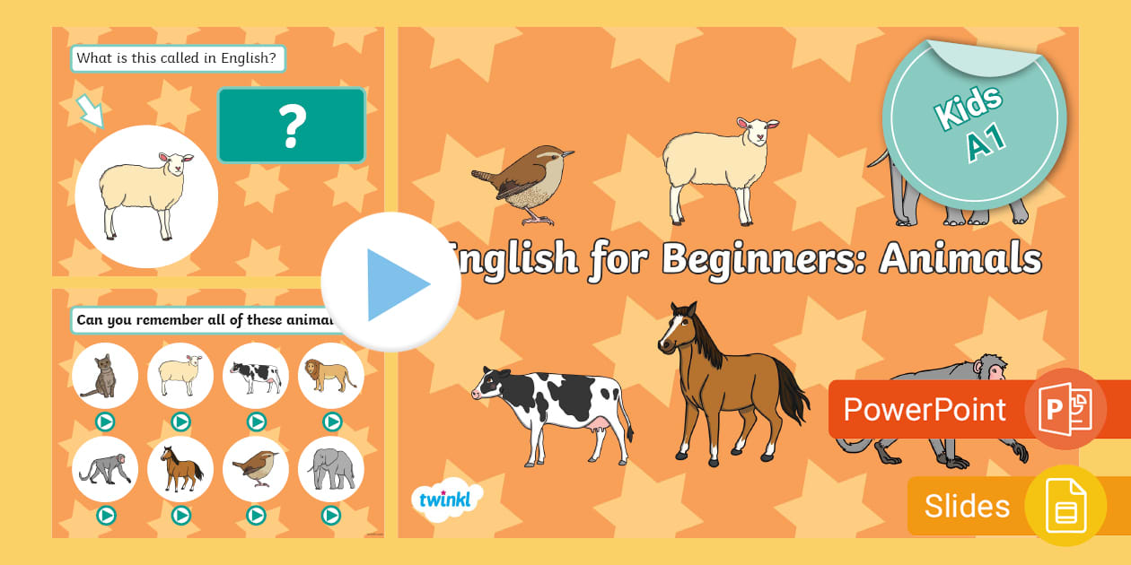 ESL English for Beginners: Animals [Kids, A1] - Twinkl