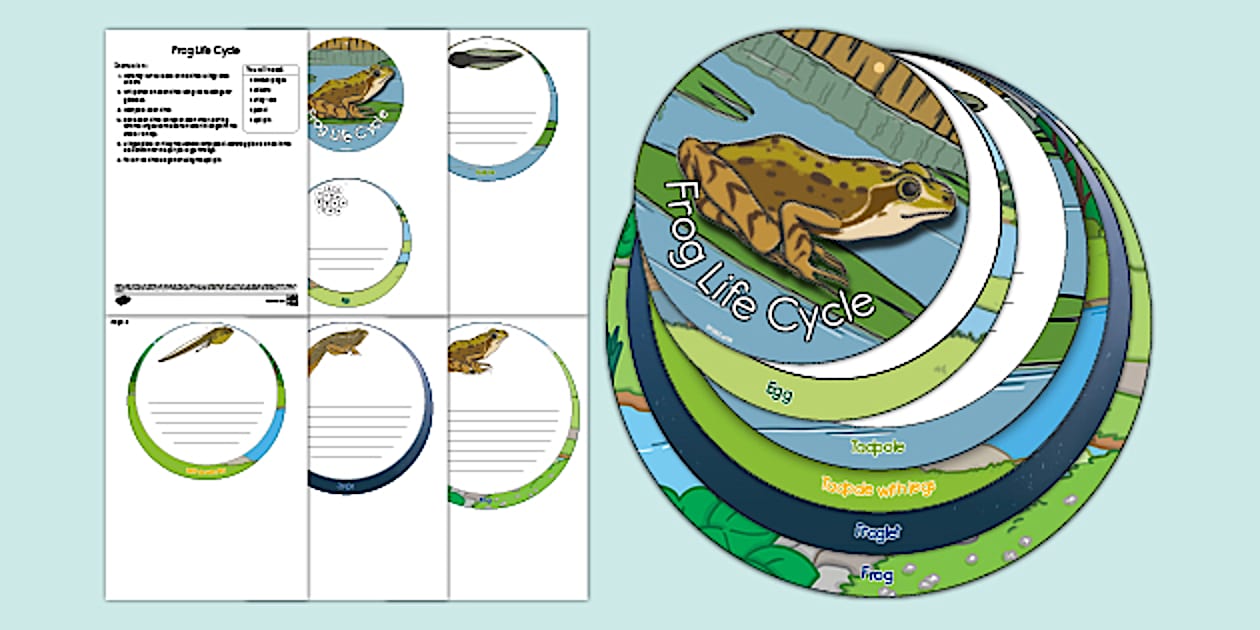 Frog Life Cycle Circles Booklet