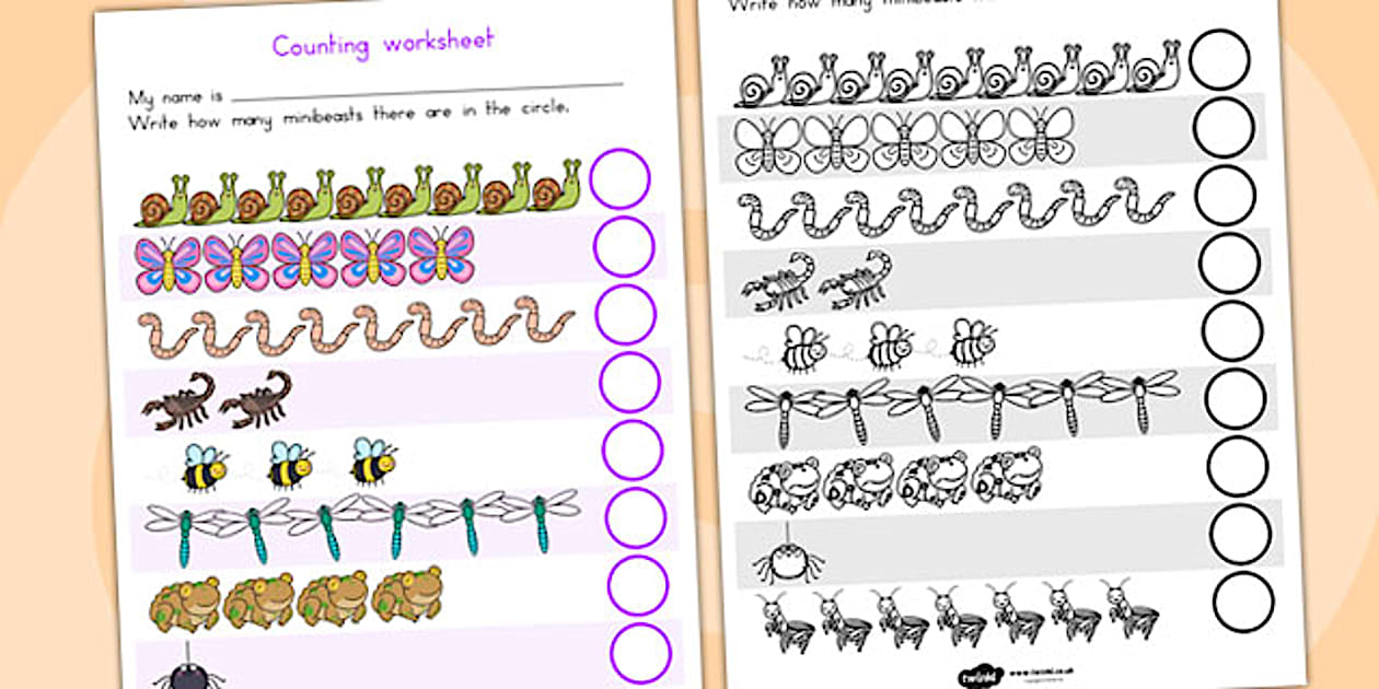 Black and White Minibeasts Cute Counting Worksheet - Australia