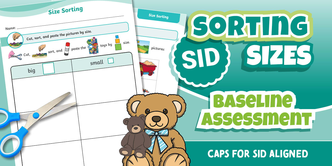 Foundation Phase - Problem Solving - Size Sorting - Baseline Assessment ...