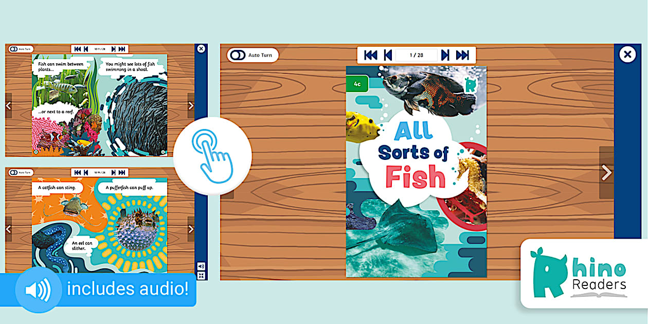Level 4c Reading Scheme Book: All Sorts of Fish - Twinkl