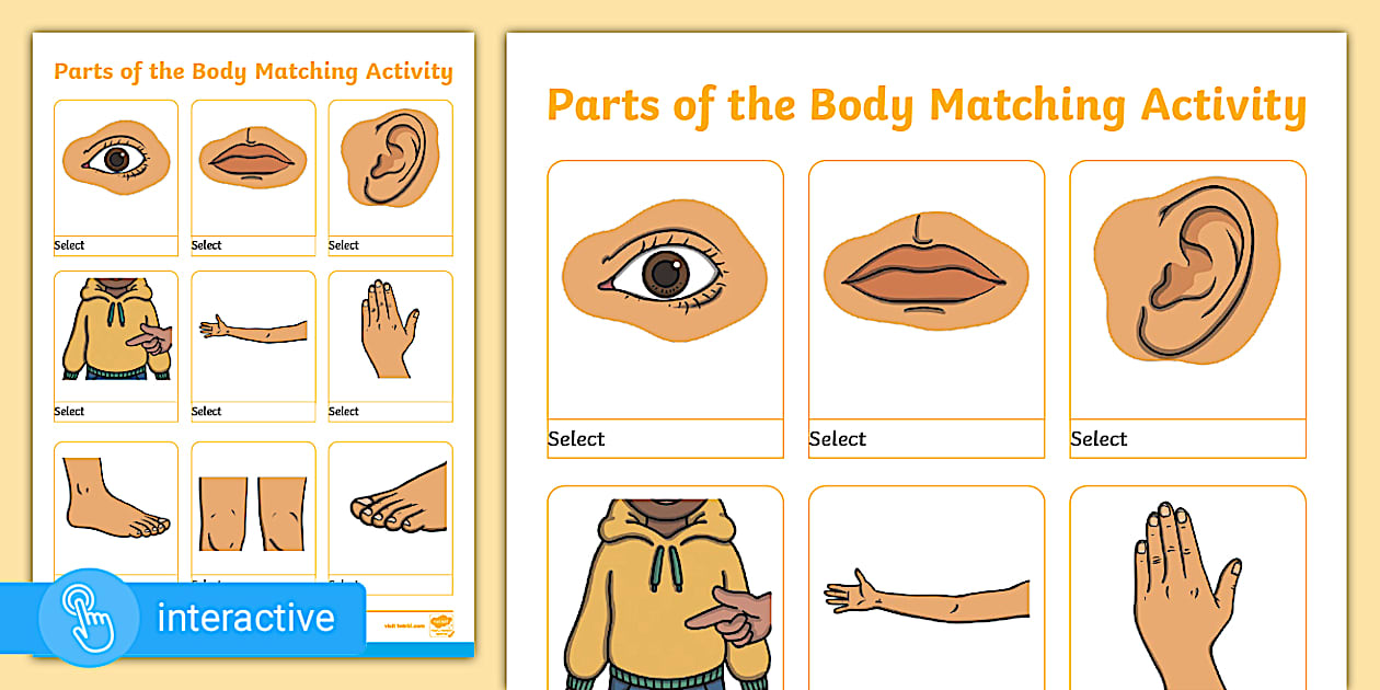 Parts of the Body Interactive Matching PDF - Twinkl