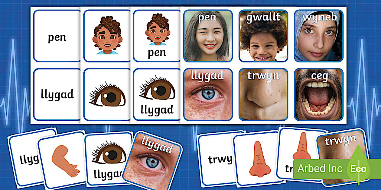 Y Corff: Cardiau Paru Rhannau'r Corff (teacher made)