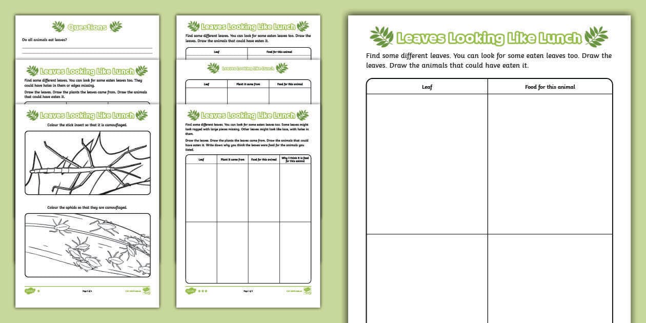 Leaves and Animals Activity Sheets (teacher made) - Twinkl