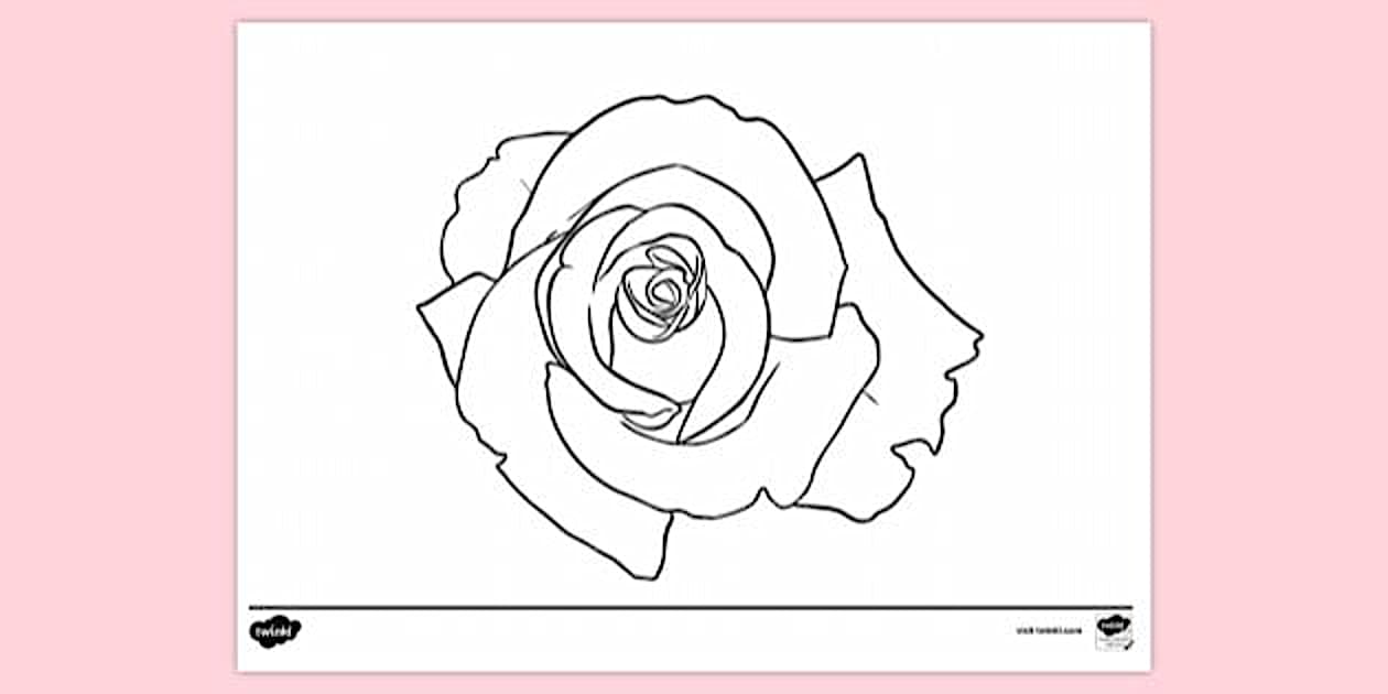 A Colouring Page of a Rose | Colouring Sheets (teacher made)