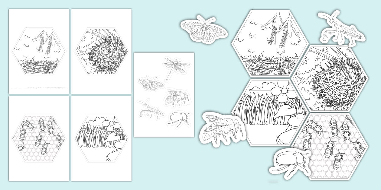 Hexagones à colorier : Les insectes (teacher made) - Twinkl