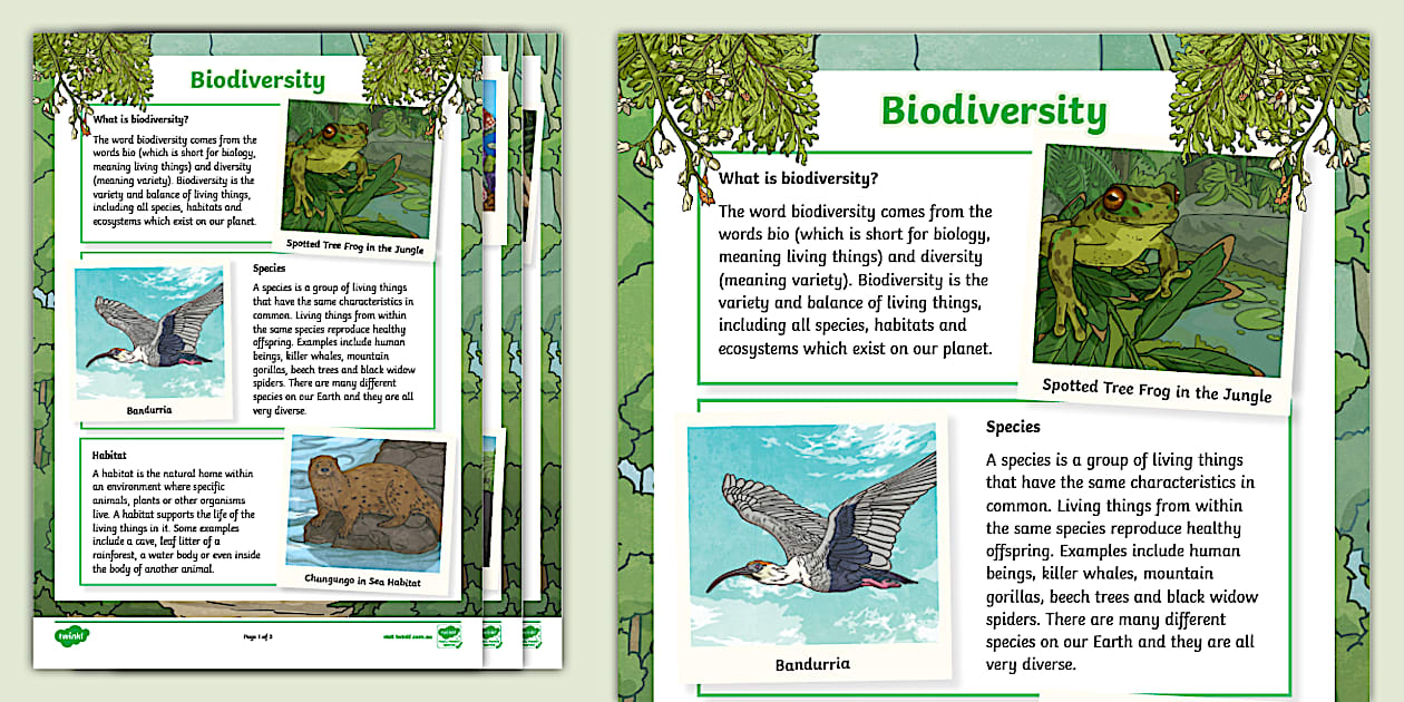 Biodiversity Fact File (teacher made) - Twinkl