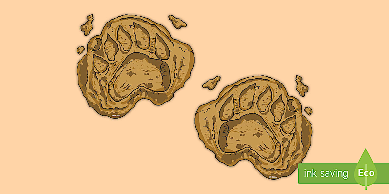 Bear Footprint Display Cut-Outs (teacher made) - Twinkl