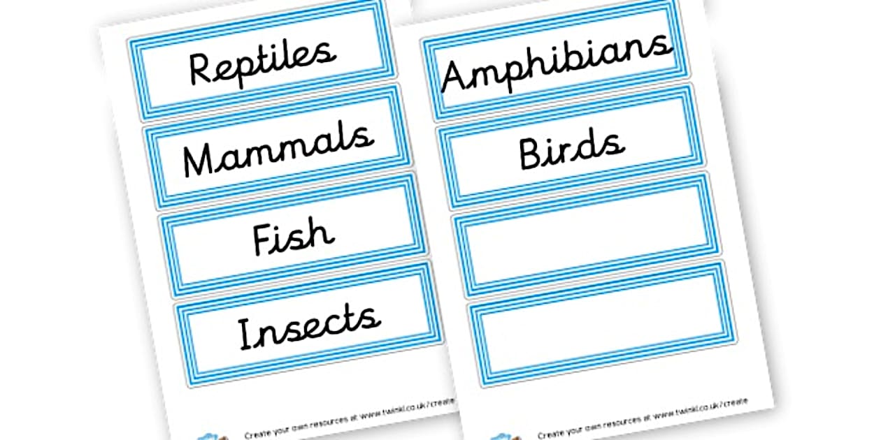 Animal Groups (Teacher-Made) - Twinkl