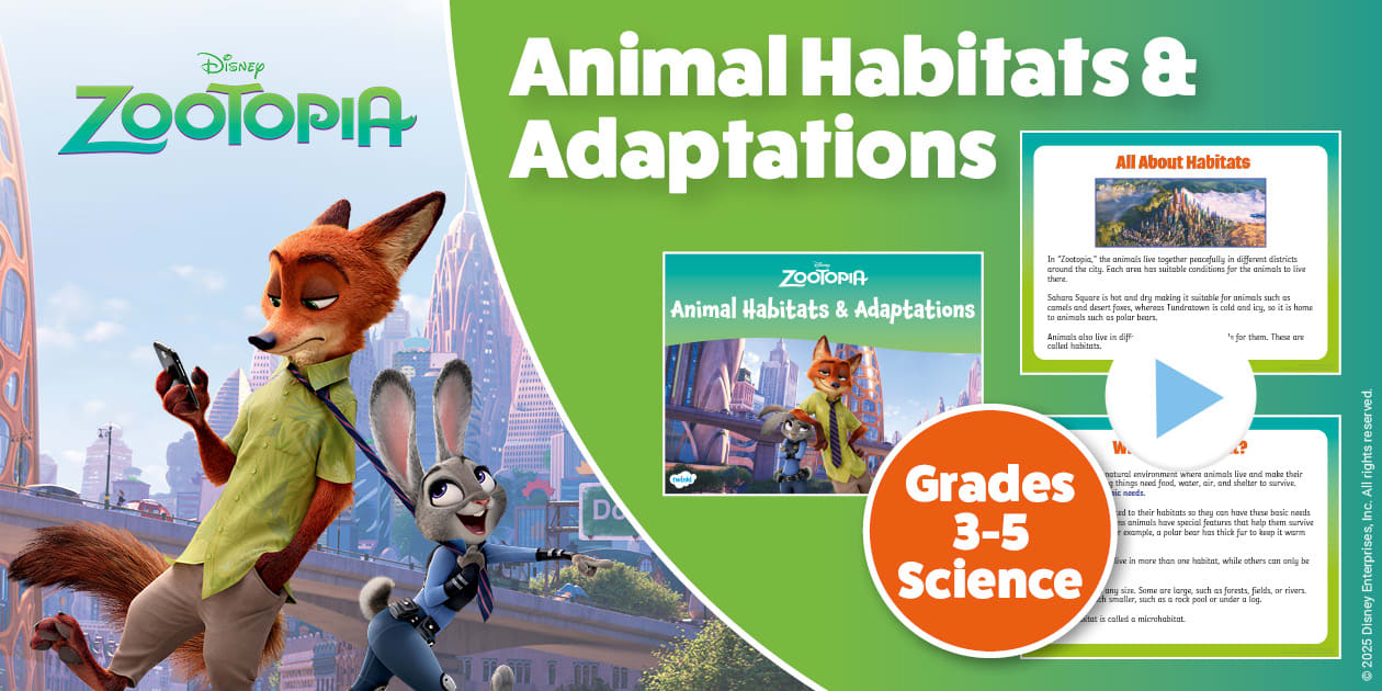 Zootopia: Animal Habitats & Adaptations PowerPoint