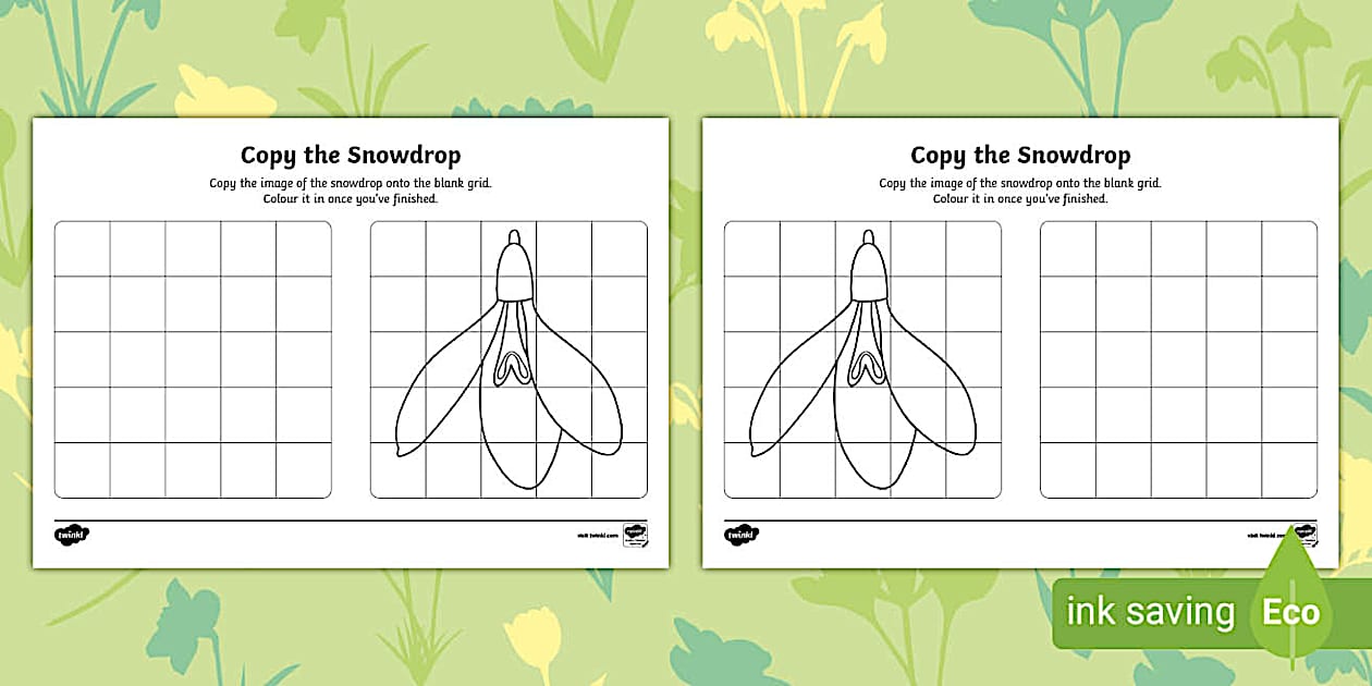 Copy the Snowdrop Worksheet (Teacher-Made) - Twinkl