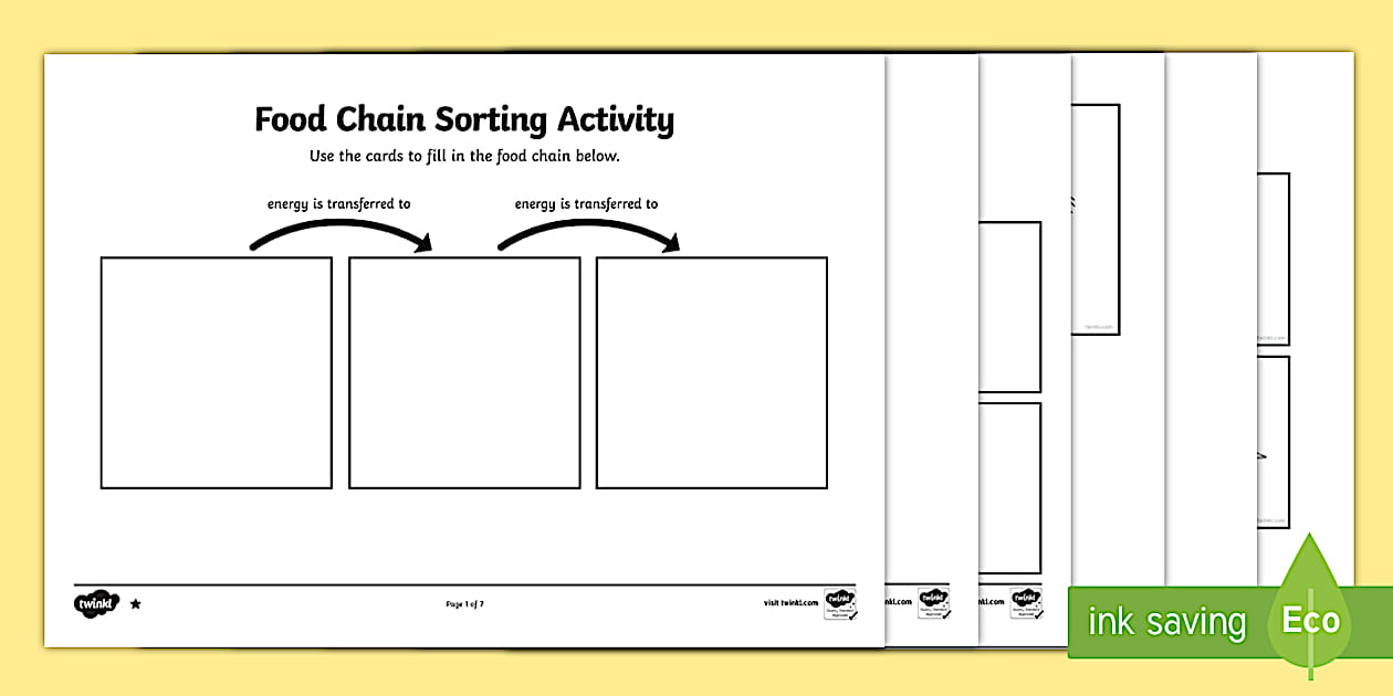 Food Chain Sorting Activity (teacher made) - Twinkl