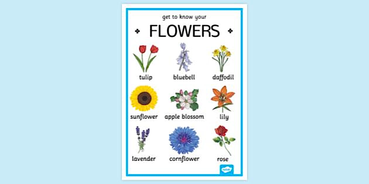 Floral Poster Printable Resource | Twinkl Resources - Twinkl