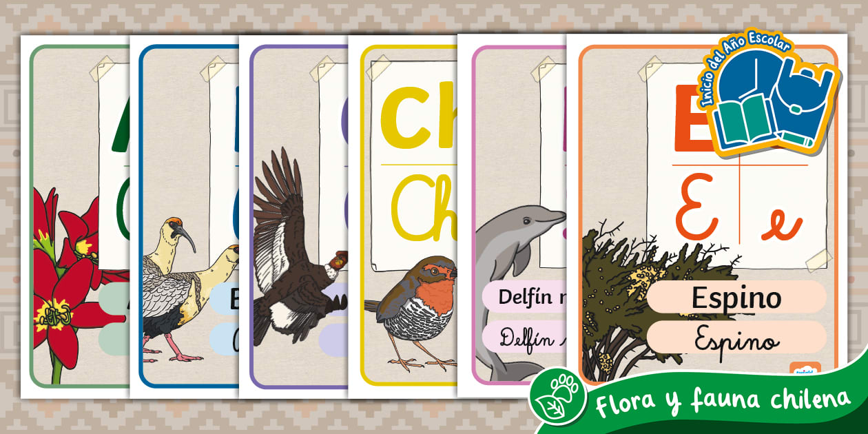 Abecedario Flora y fauna chilena (Lehrer gemacht) - Twinkl