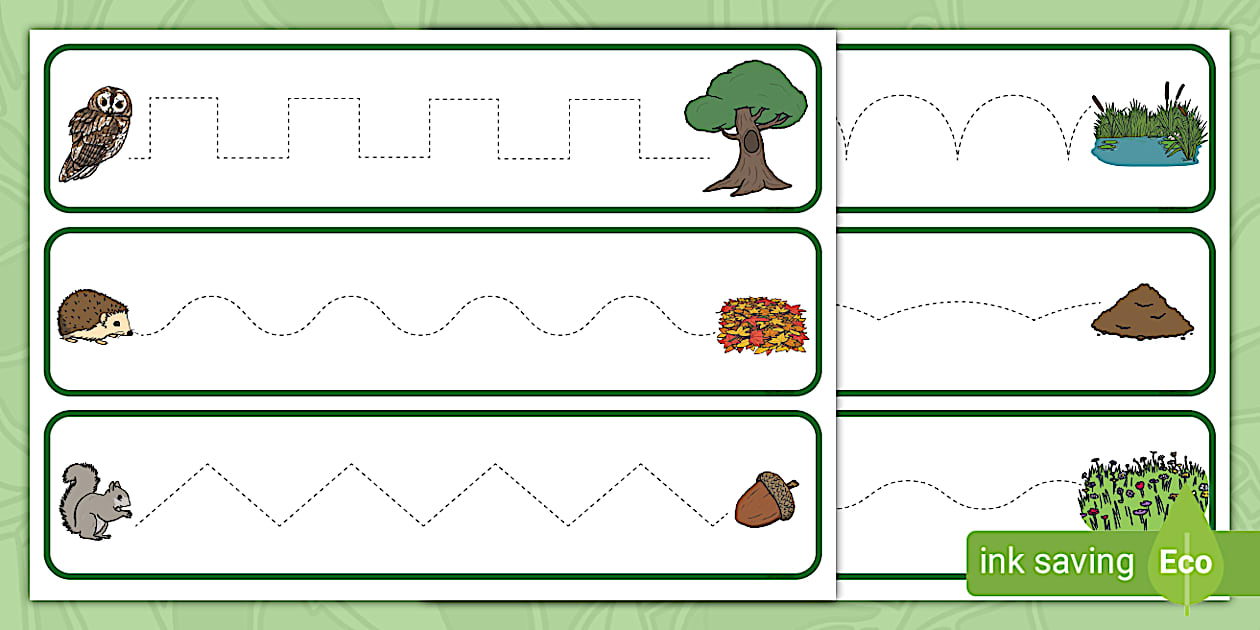 Woodland Animal Trails Fine Motor Skills Cards | Twinkl