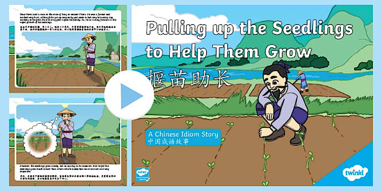 Pulling Up the Seedlings to Help Them Grow Story PowerPoint