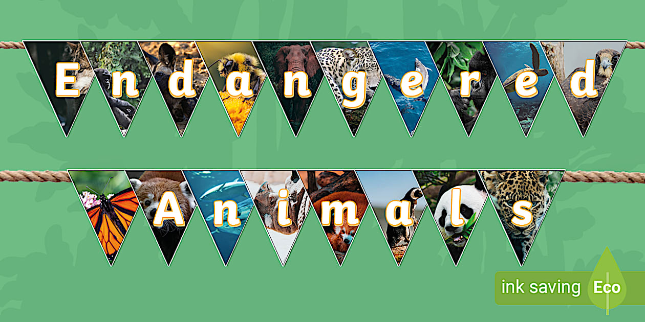 Endangered Animals Photo Display Bunting (teacher made)