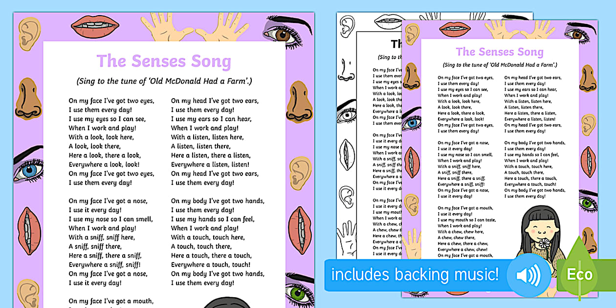 The Senses Song (teacher made) - Twinkl