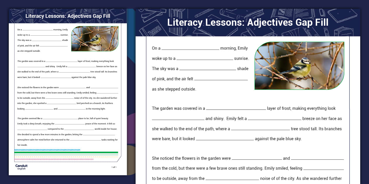 Literacy Lessons: Adjectives Gap Fill (teacher made)