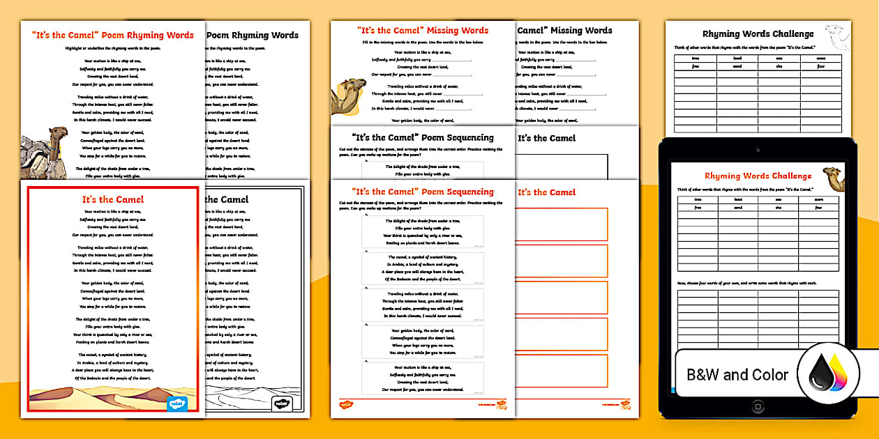 It's the Camel Poem Activity Pack (teacher made) - Twinkl