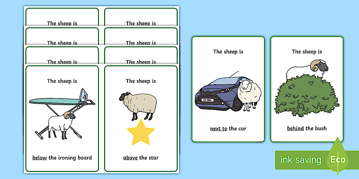 SA Sheep Positional Language Cards (teacher made) - Twinkl