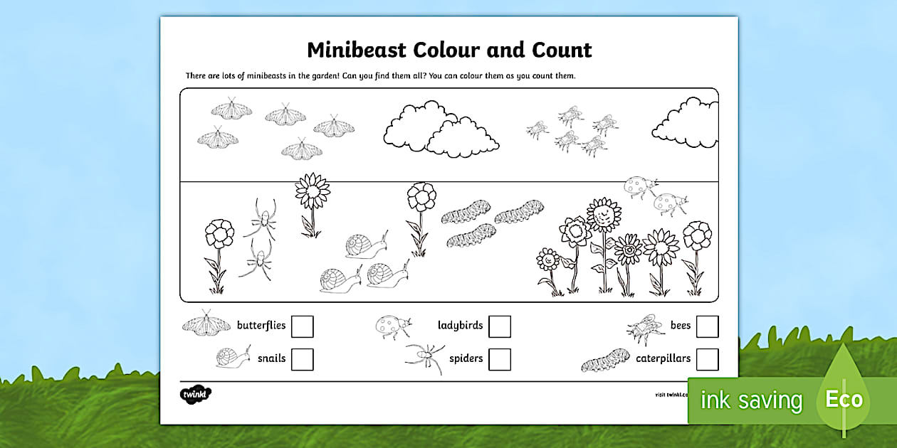 Minibeast Colour and Count Worksheet (teacher made) - Twinkl